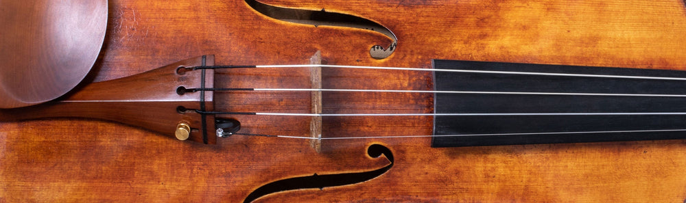 Thomastik Dominant Pro Violin Set