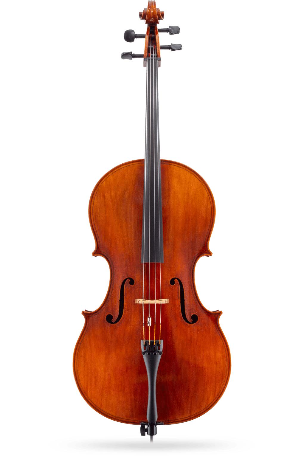 Stringers Master Cello